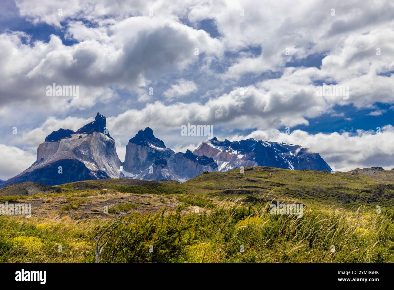 Parco nazionale Torres del Paine in Patagonia, Cile. Splendido ...