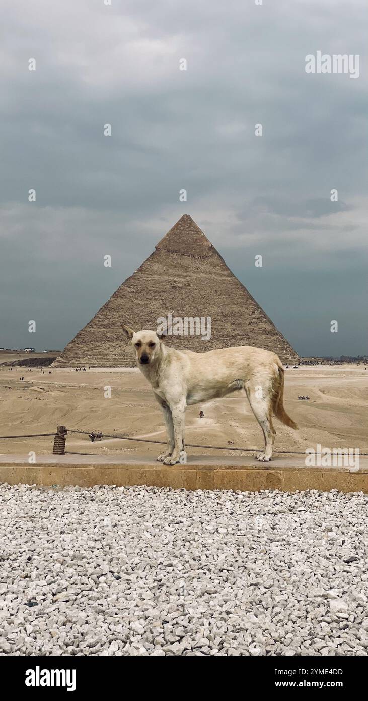 Sculture in pietra di cane immagini e fotografie stock ad alta ...