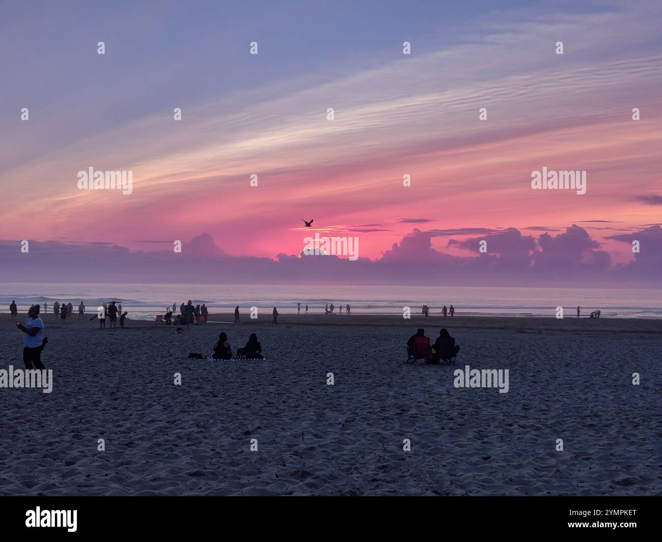 Uccello pastello all'alba immagini e fotografie stock ad alta ...