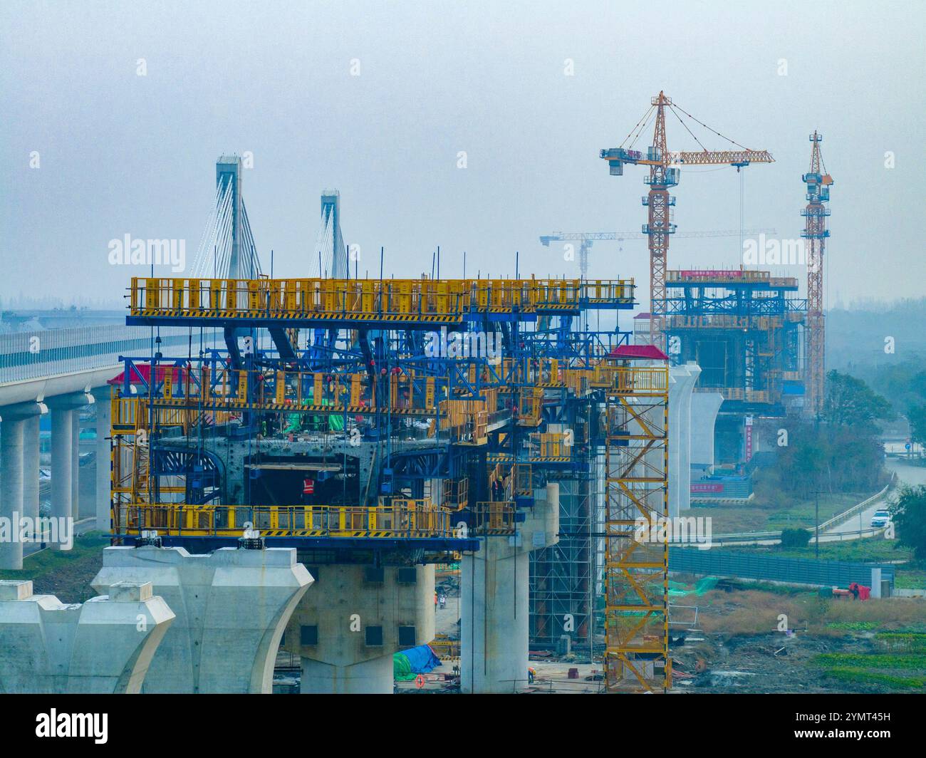SHANGHAI, CINA - 22 NOVEMBRE 2024 - la foto scattata il 22 novembre ...