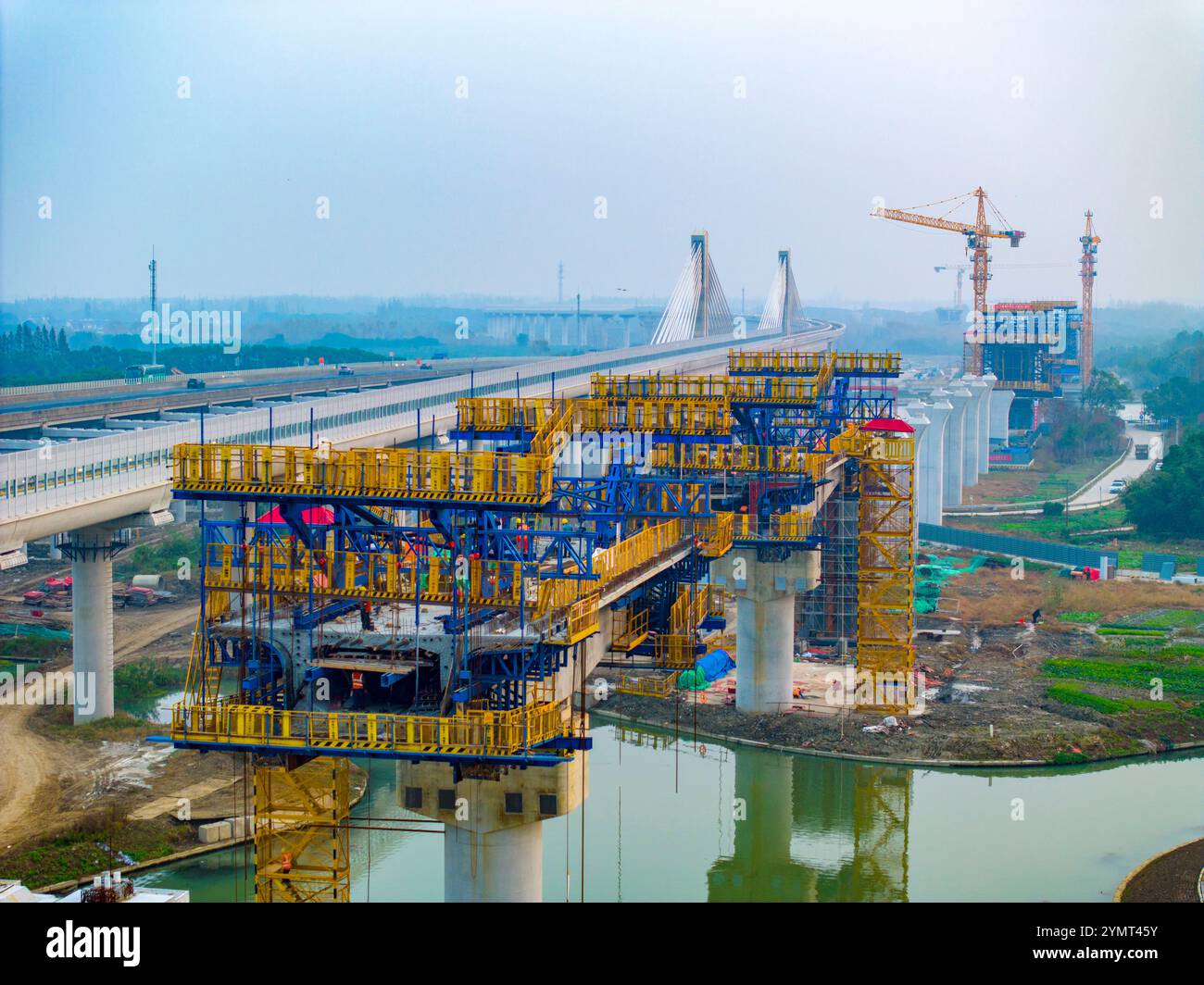 SHANGHAI, CINA - 22 NOVEMBRE 2024 - la foto scattata il 22 novembre ...
