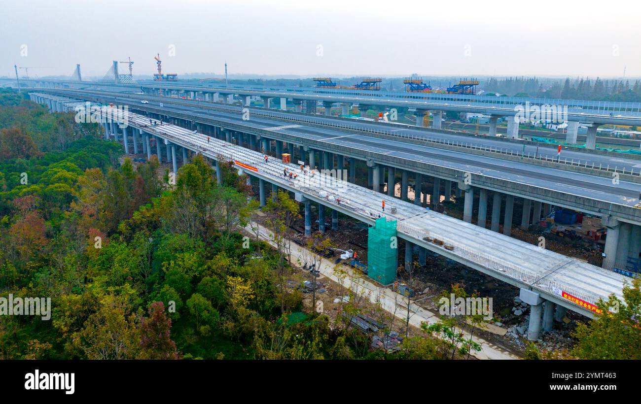 SHANGHAI, CINA - 22 NOVEMBRE 2024 - la foto scattata il 22 novembre ...