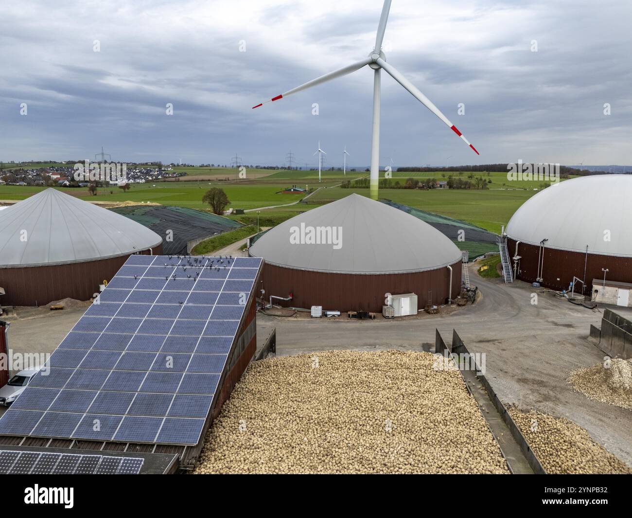 L'impianto di biogas produce gas da varie biomasse, qui il negozio di ...