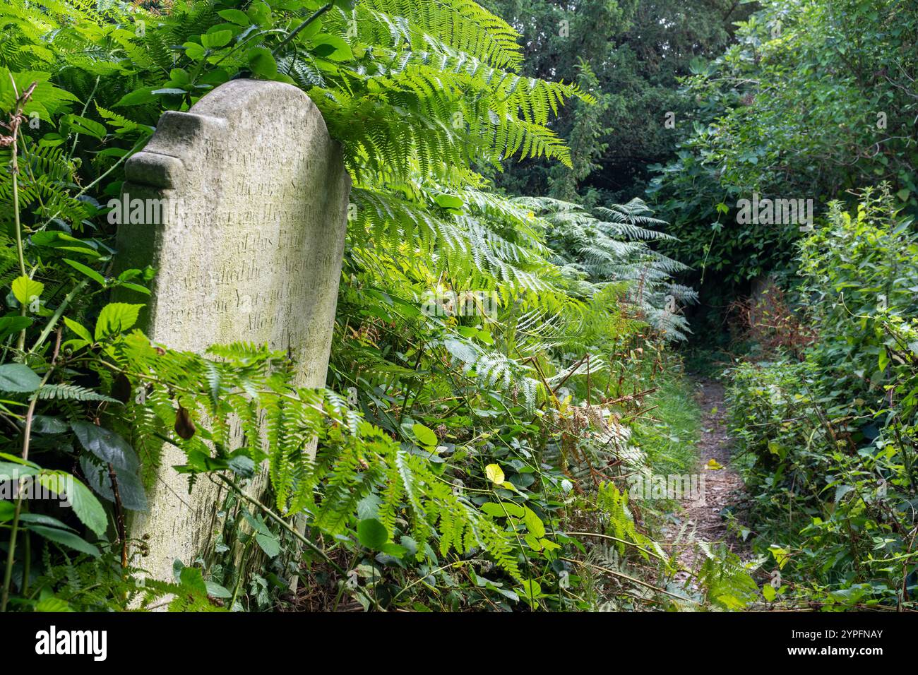 St john at hampstead cemetery immagini e fotografie stock ad alta ...