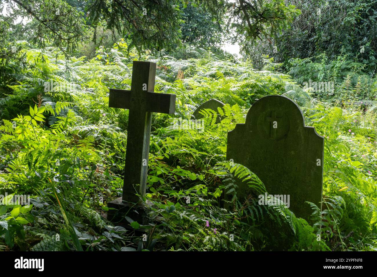 St john at hampstead cemetery immagini e fotografie stock ad alta ...