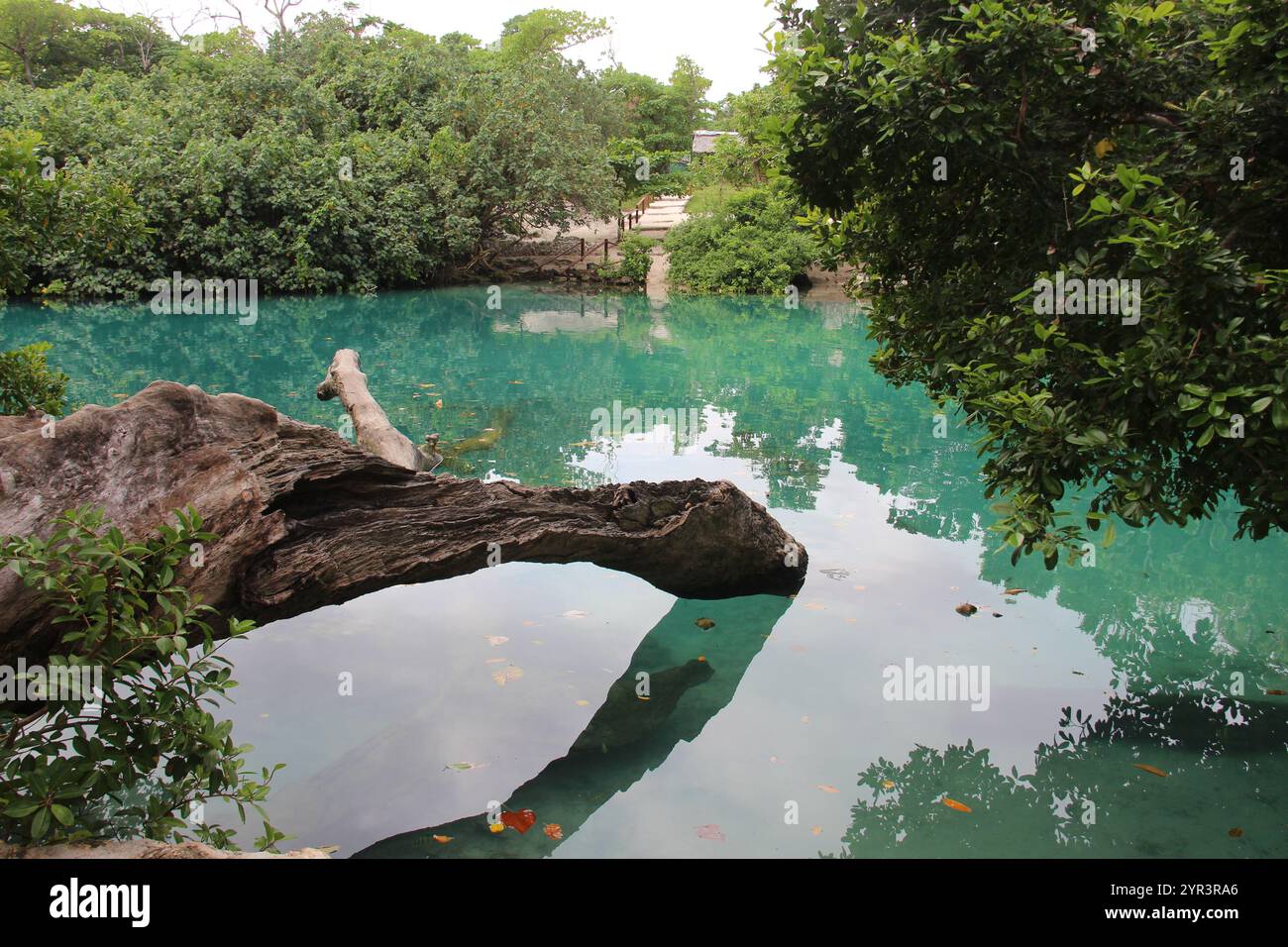 The blue lagoon movie immagini e fotografie stock ad alta risoluzione ...