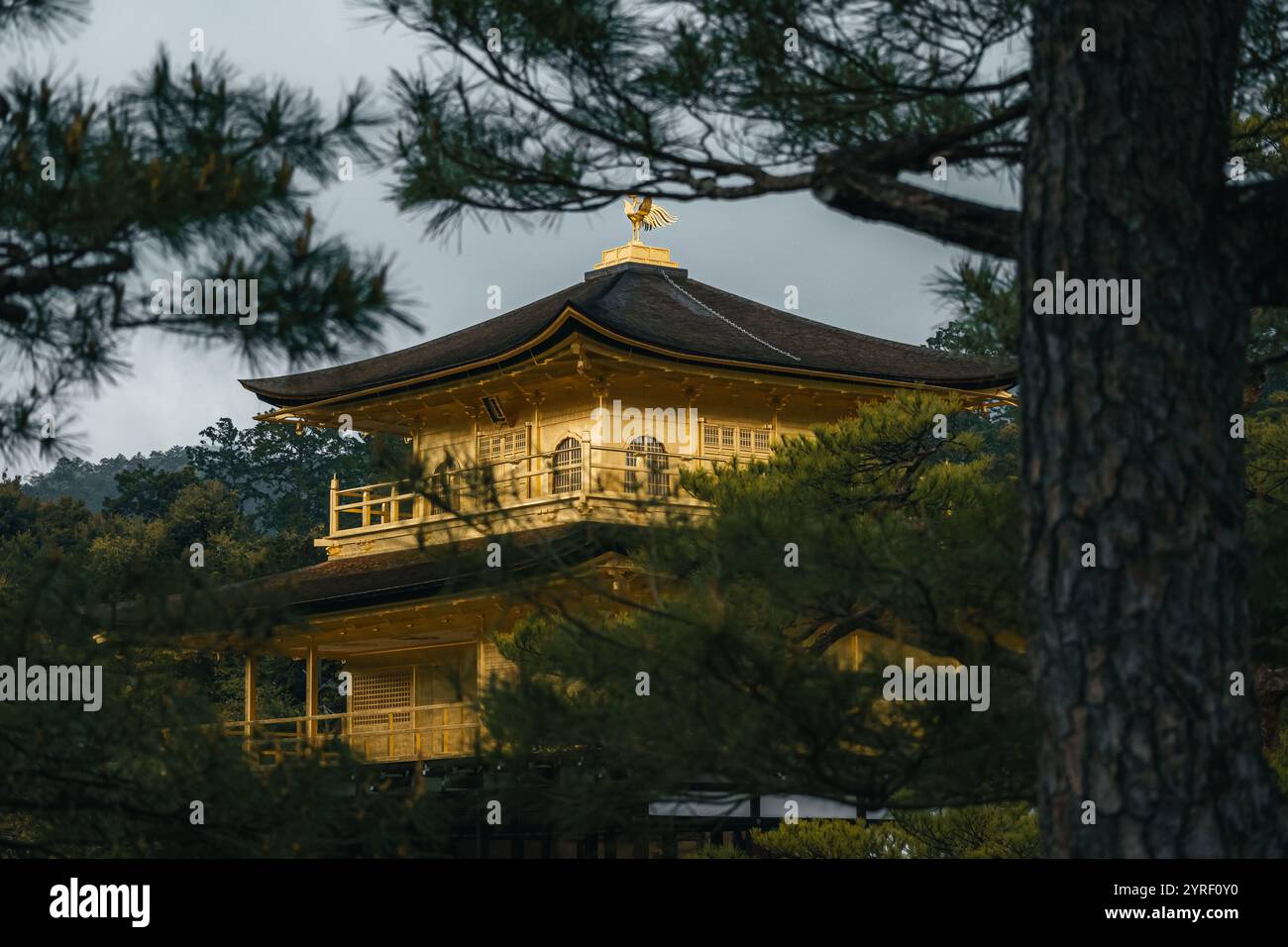 Il Tempio del Padiglione d'Oro a Kyoto, conosciuto come Kinkaku-ji, si ...