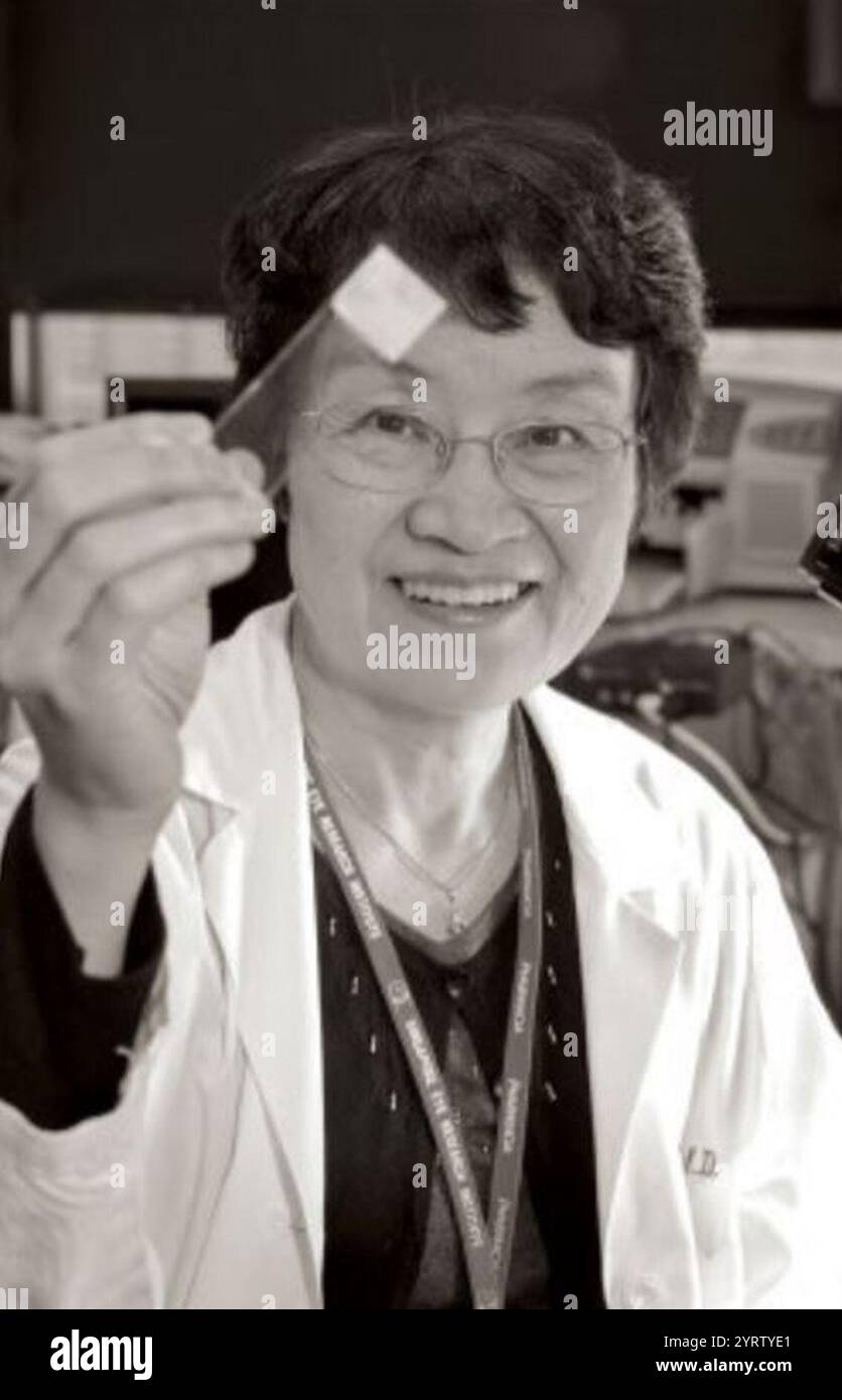 Chan chao immagini e fotografie stock ad alta risoluzione - Alamy