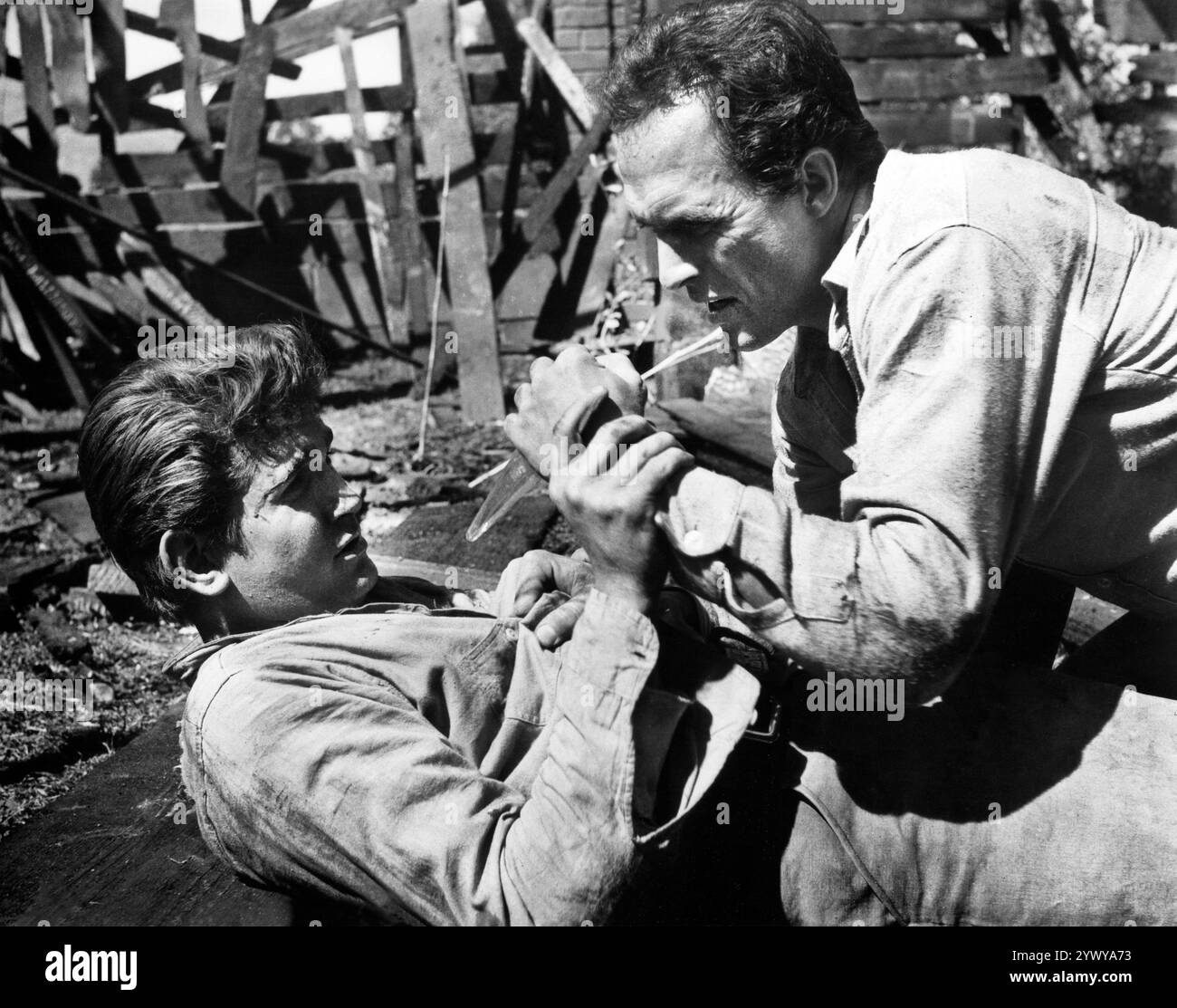 Tom hogan immagini e fotografie stock ad alta risoluzione - Alamy