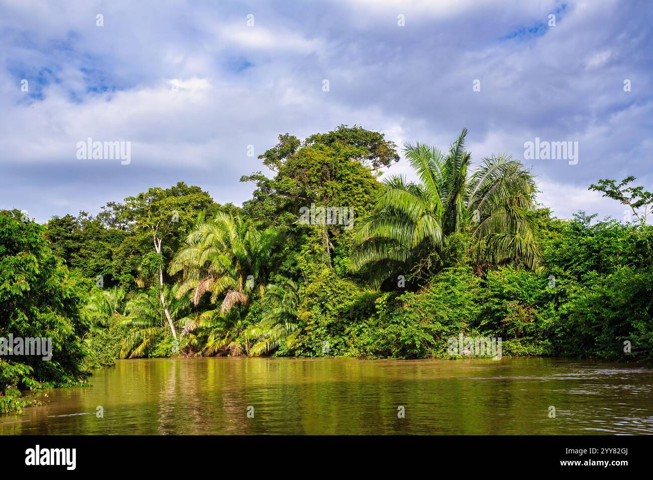 Canale del fiume Rio Frio con un bellissimo paesaggio di foresta ...