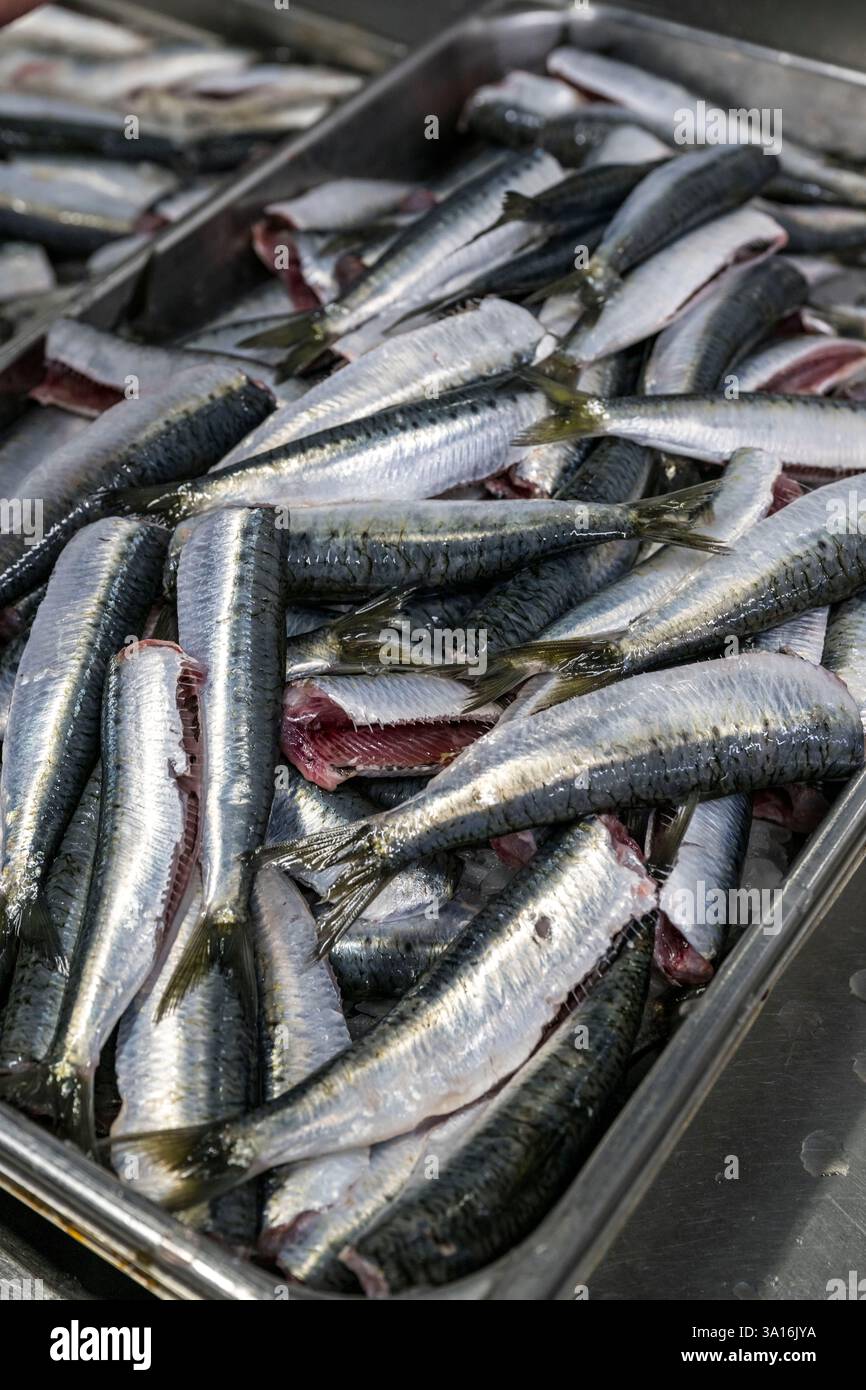 Hanno fatto immagini e fotografie stock ad alta risoluzione - Alamy