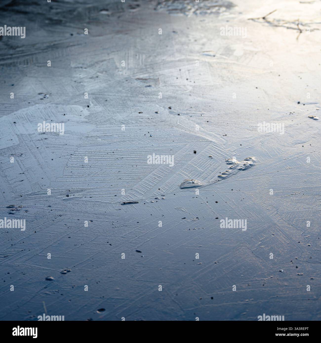 Ruvidezza della superficie immagini e fotografie stock ad alta ...