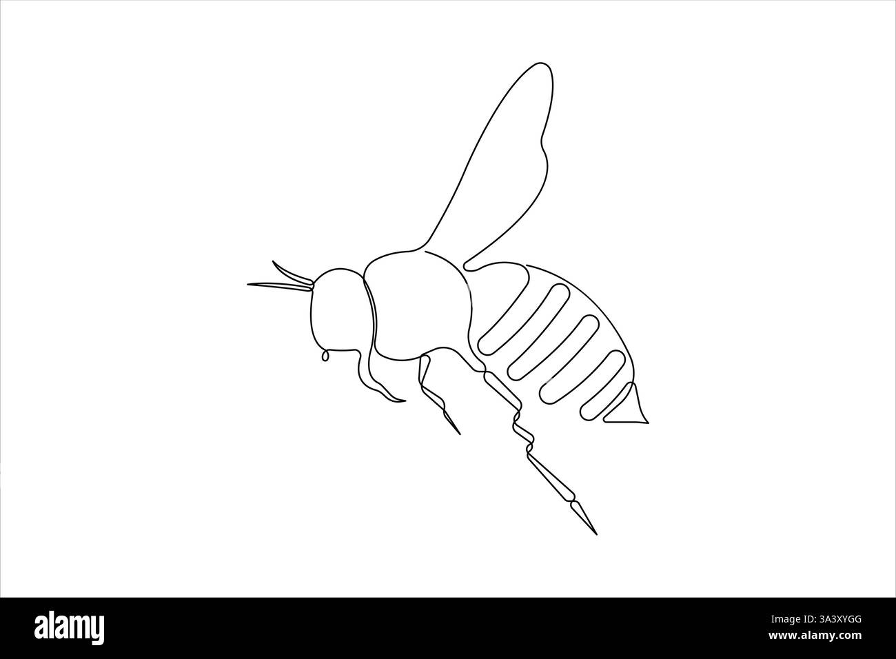 Disegno delle api con fiore Foto e Immagini Stock in Bianco e Nero - Alamy