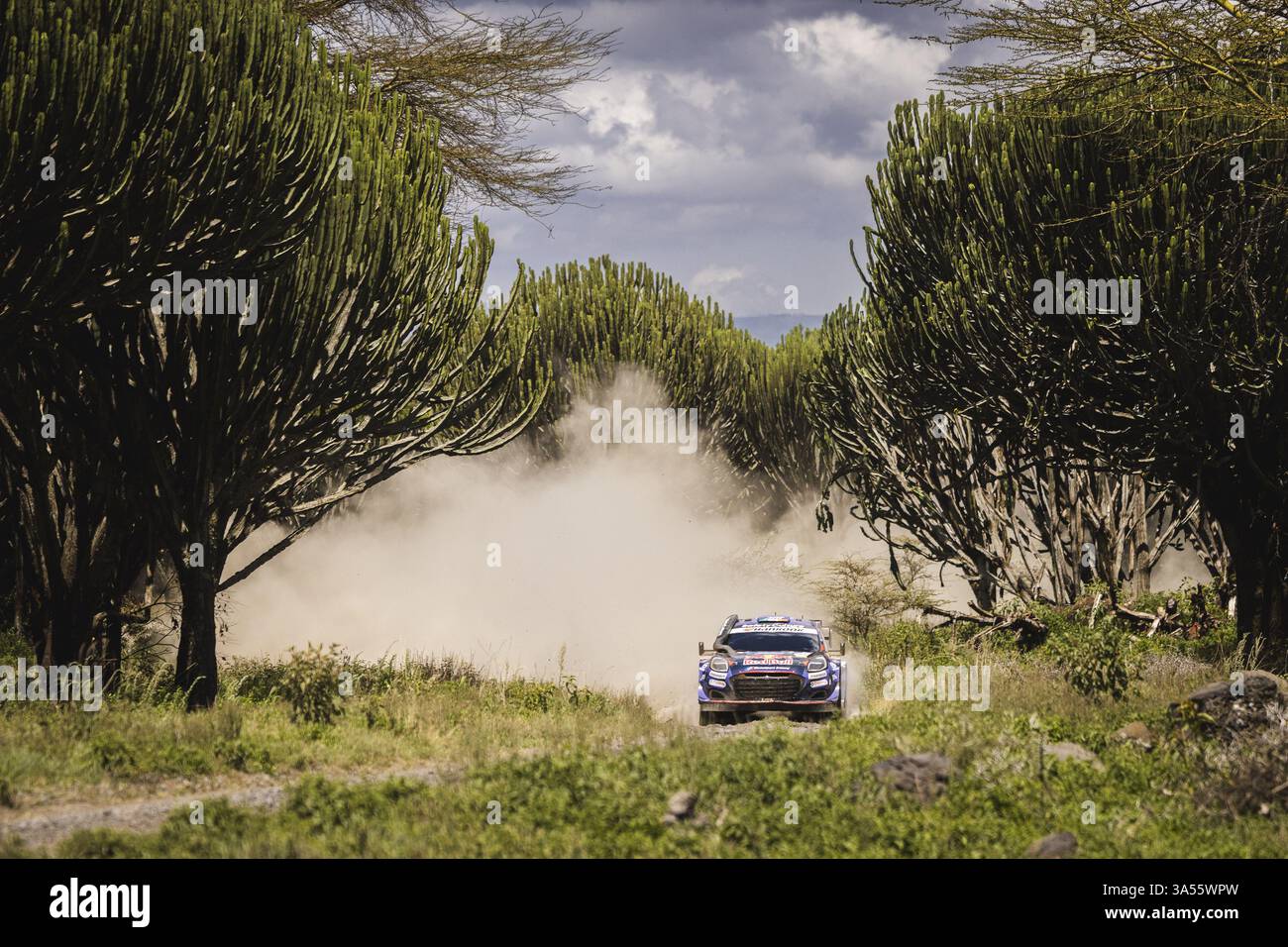 55 Joshua MCERLEAN, Eoin TREACY, Ford Puma Rally1, azione durante il Safari Rally Kenya 2025, 3 ...