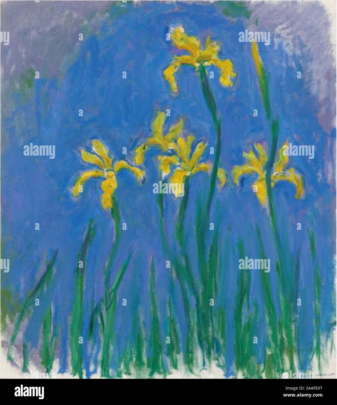 Claude monet iris immagini e fotografie stock ad alta risoluzione - Alamy