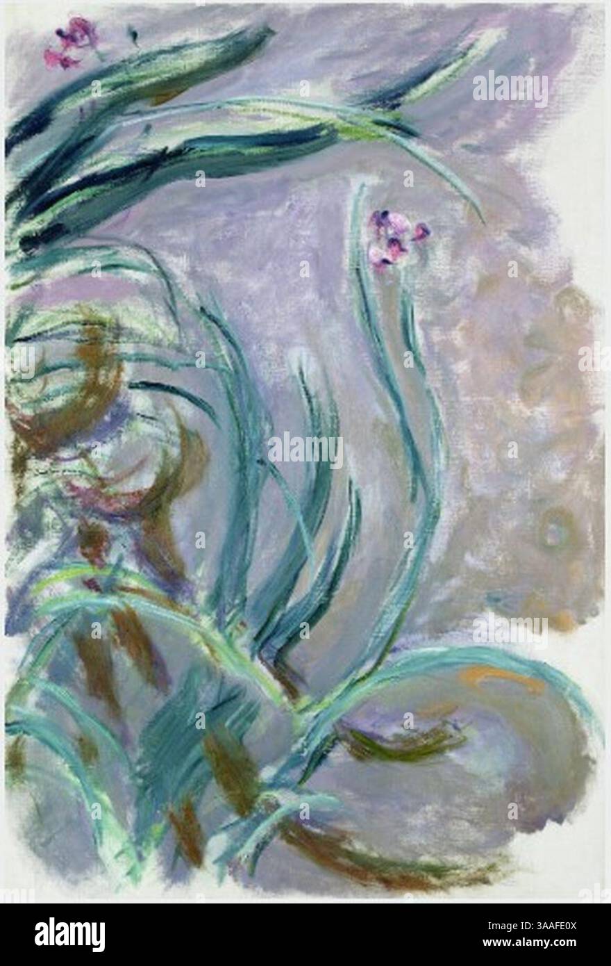 Claude monet iris immagini e fotografie stock ad alta risoluzione - Alamy