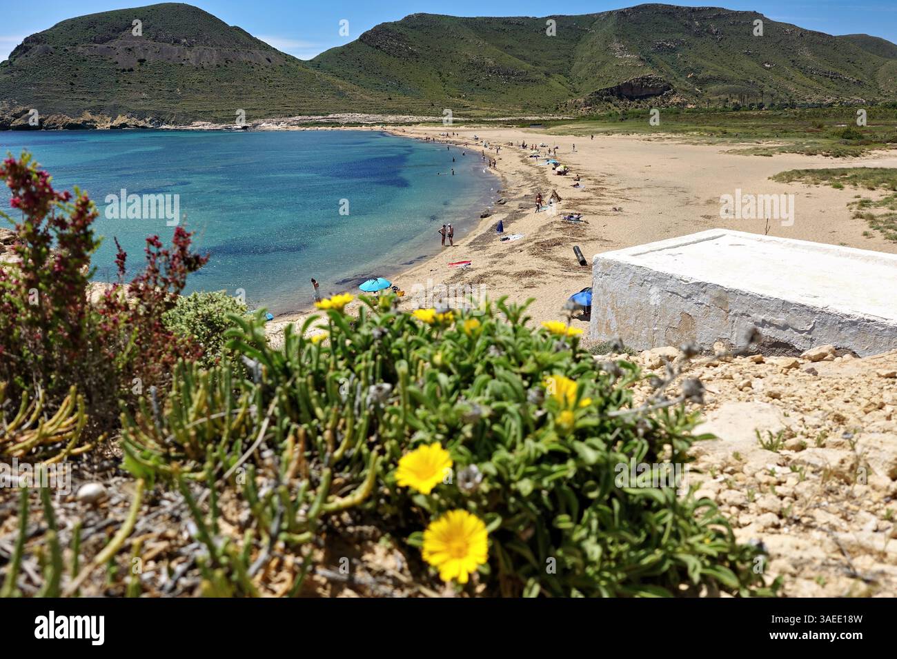 Playa playazo immagini e fotografie stock ad alta risoluzione - Alamy