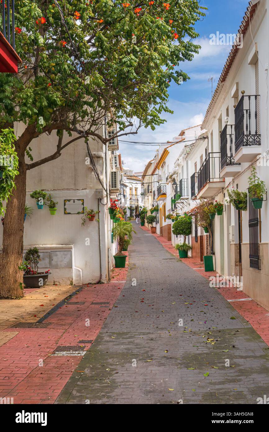Vecchia città di marbella immagini e fotografie stock ad alta ...