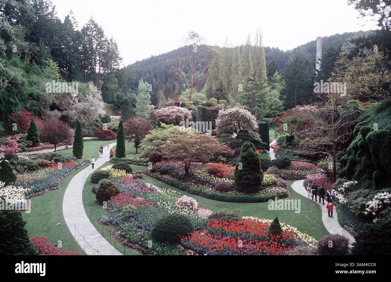 Jennie butchart immagini e fotografie stock ad alta risoluzione - Alamy