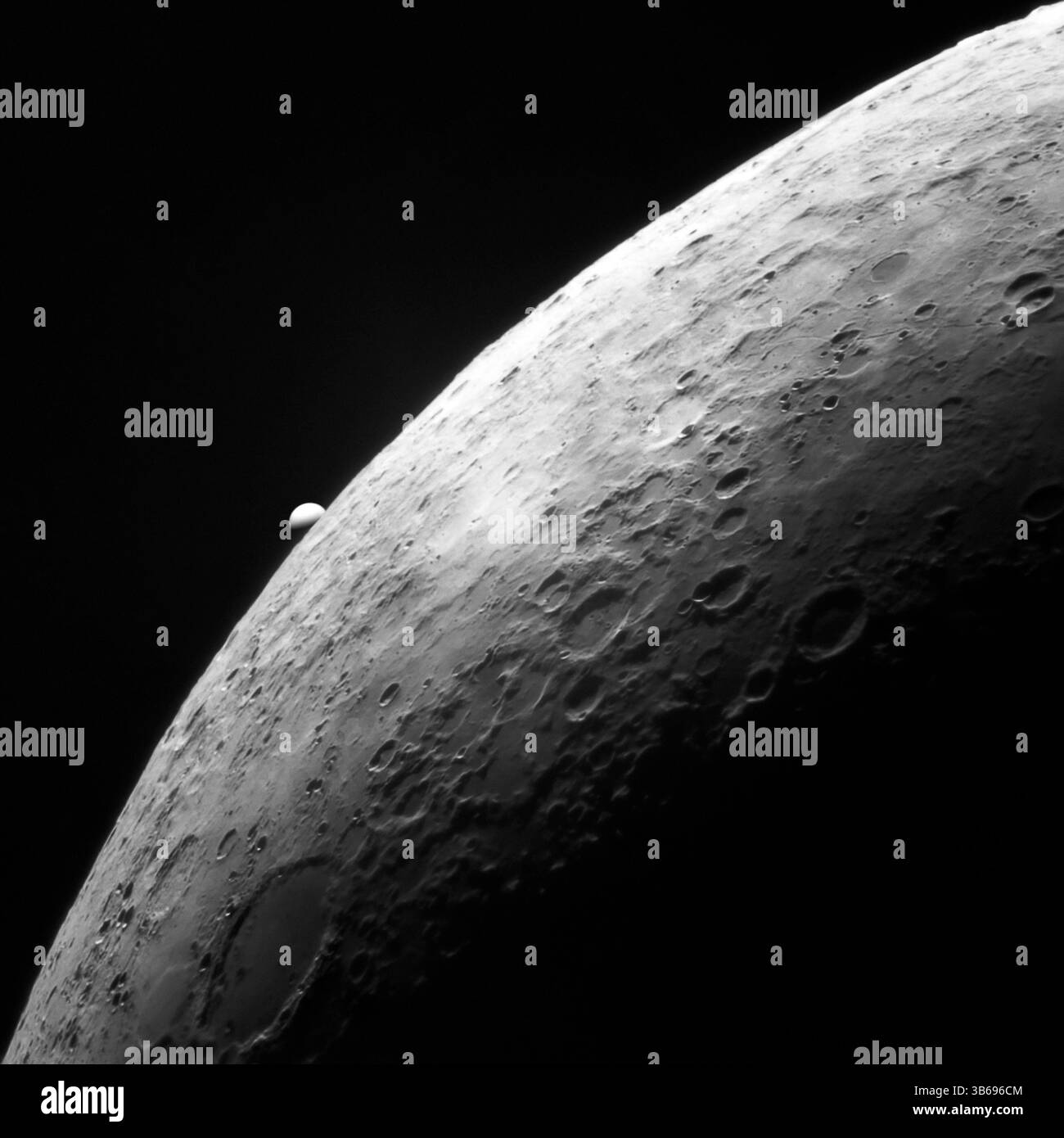 Venere nera Foto e Immagini Stock in Bianco e Nero - Alamy