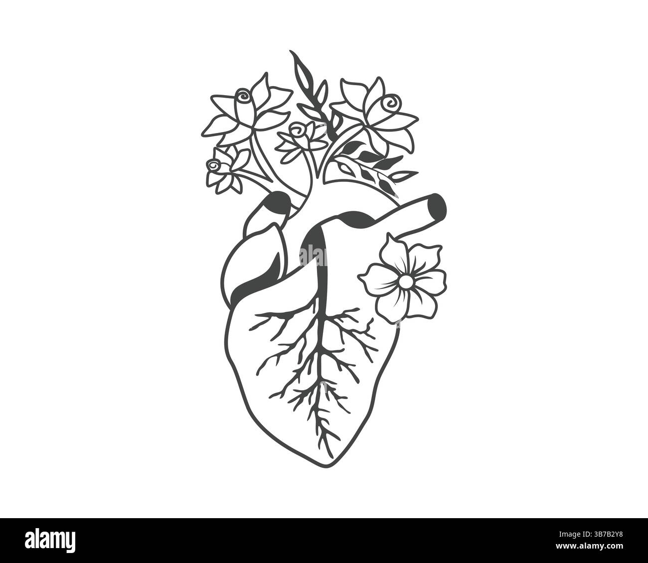 Anatomia del cuore svg, anatomia del cuore floreale svg, anatomia del ...
