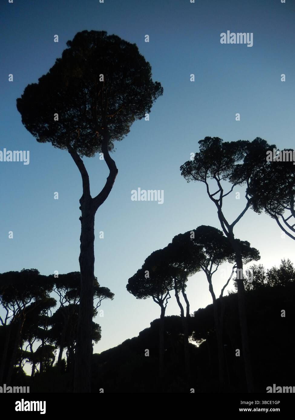 Spiaggia di fregene immagini e fotografie stock ad alta risoluzione - Alamy