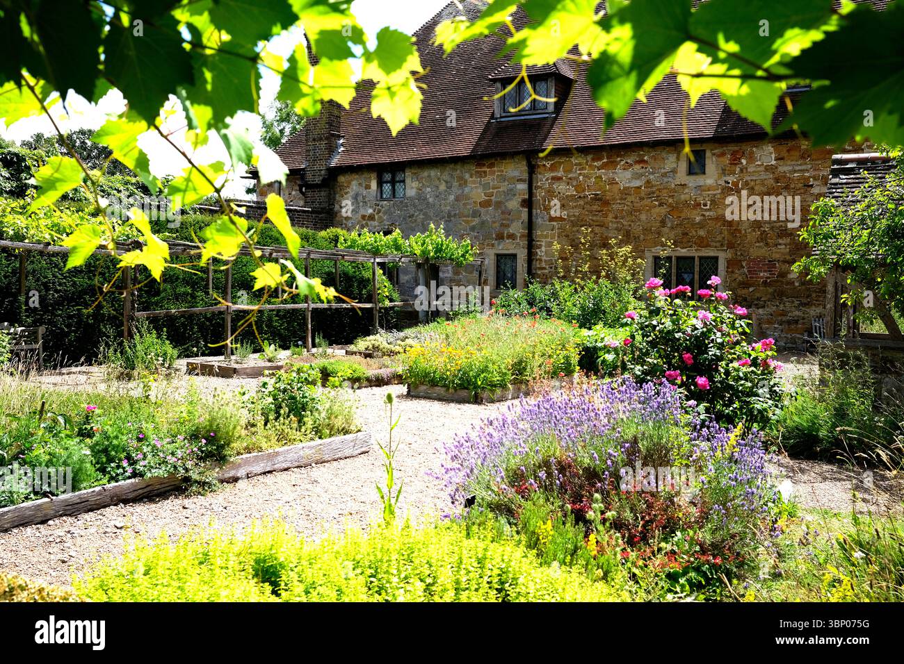 Upper dicker immagini e fotografie stock ad alta risoluzione - Alamy