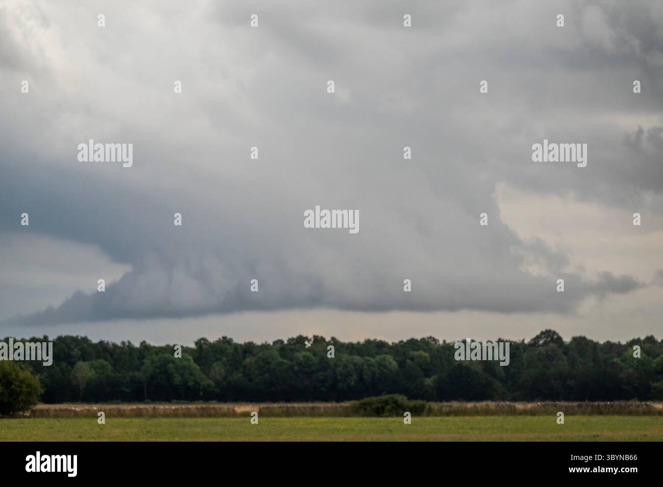 Tatuaggio aereo internazionale reale 2025 immagini e fotografie stock ...