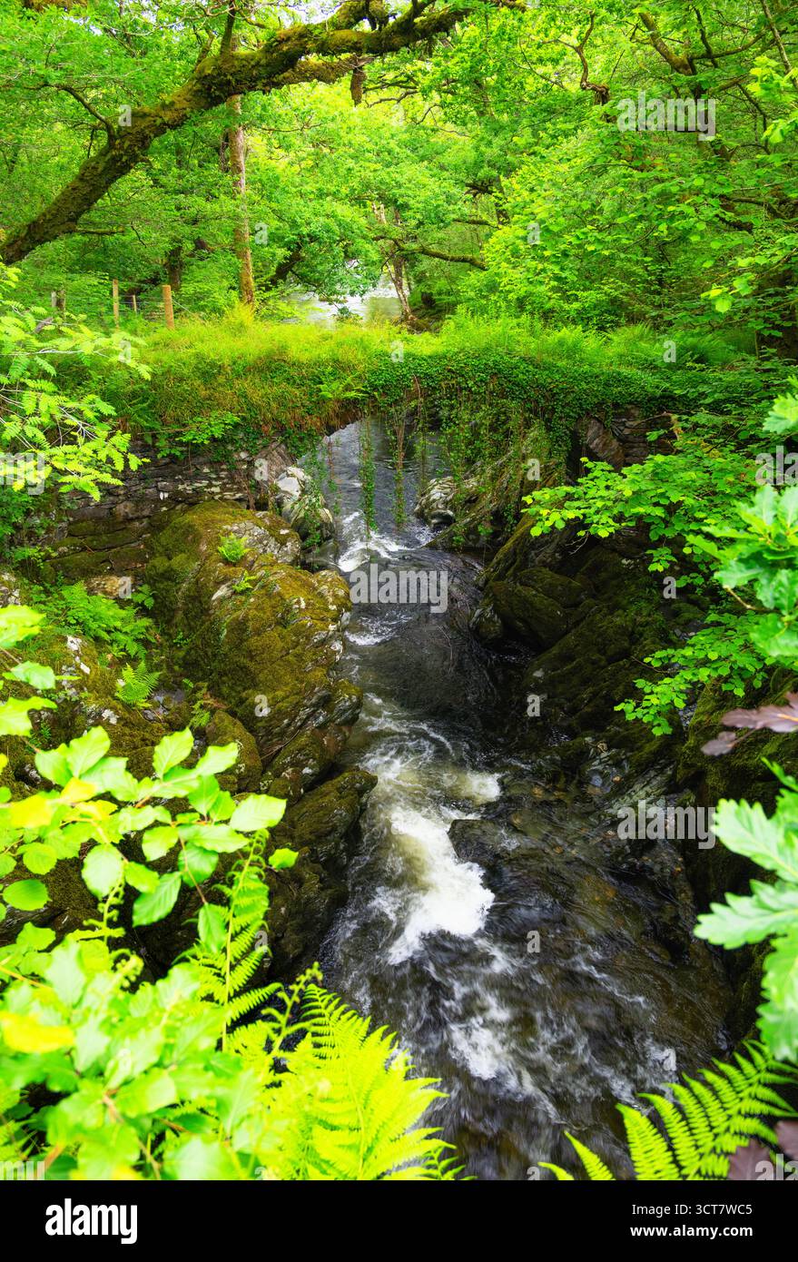 Ponti di penmachno immagini e fotografie stock ad alta risoluzione - Alamy
