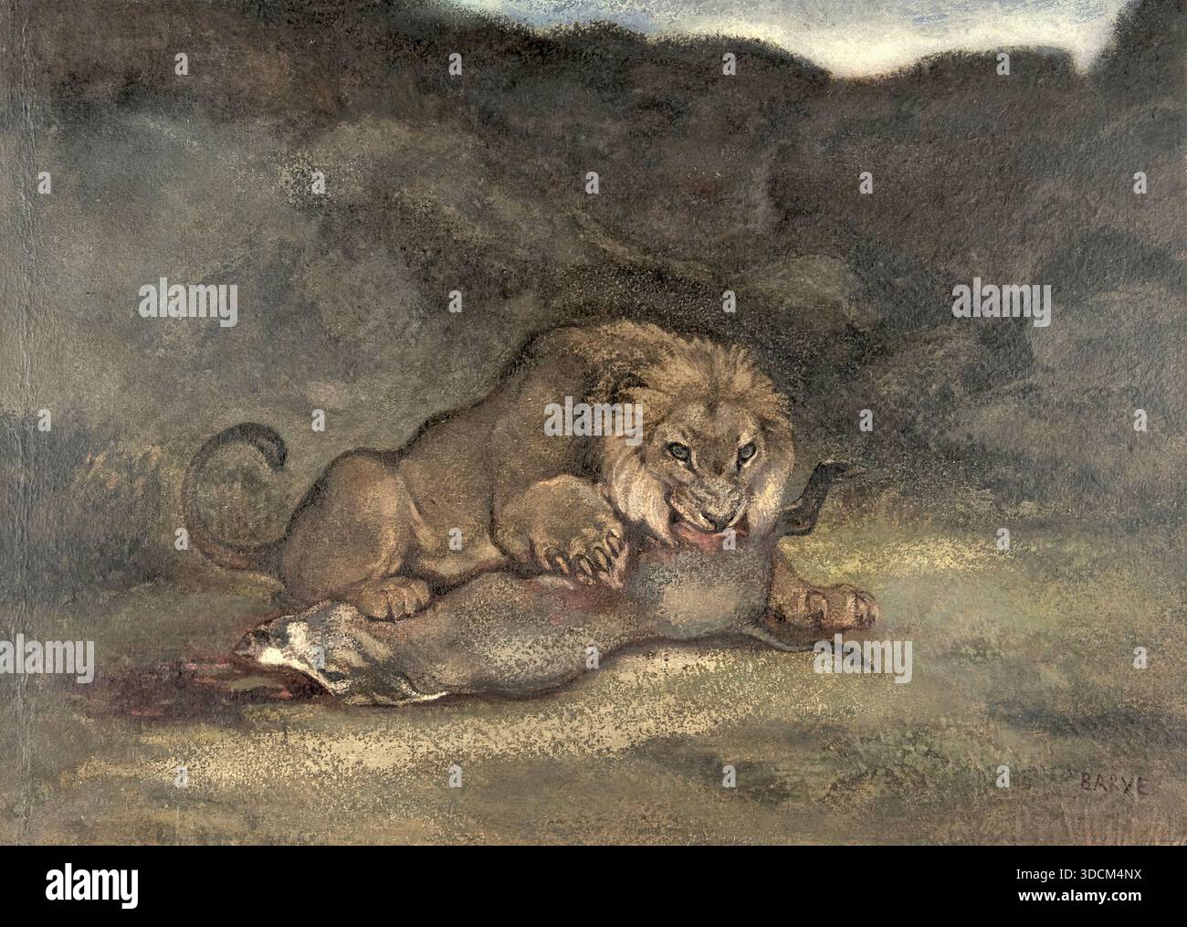 Leone che divora la preda immagini e fotografie stock ad alta ...