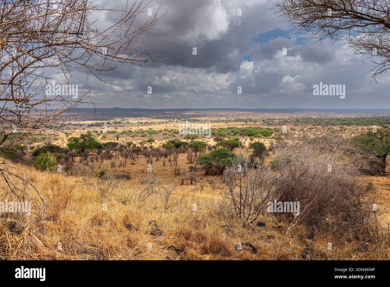 Area di conservazione del tarangire immagini e fotografie stock ad alta ...