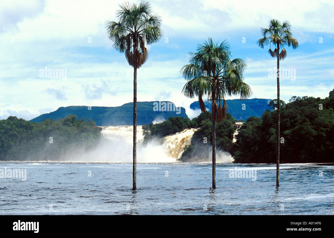 Tepuis canaima immagini e fotografie stock ad alta risoluzione - Alamy