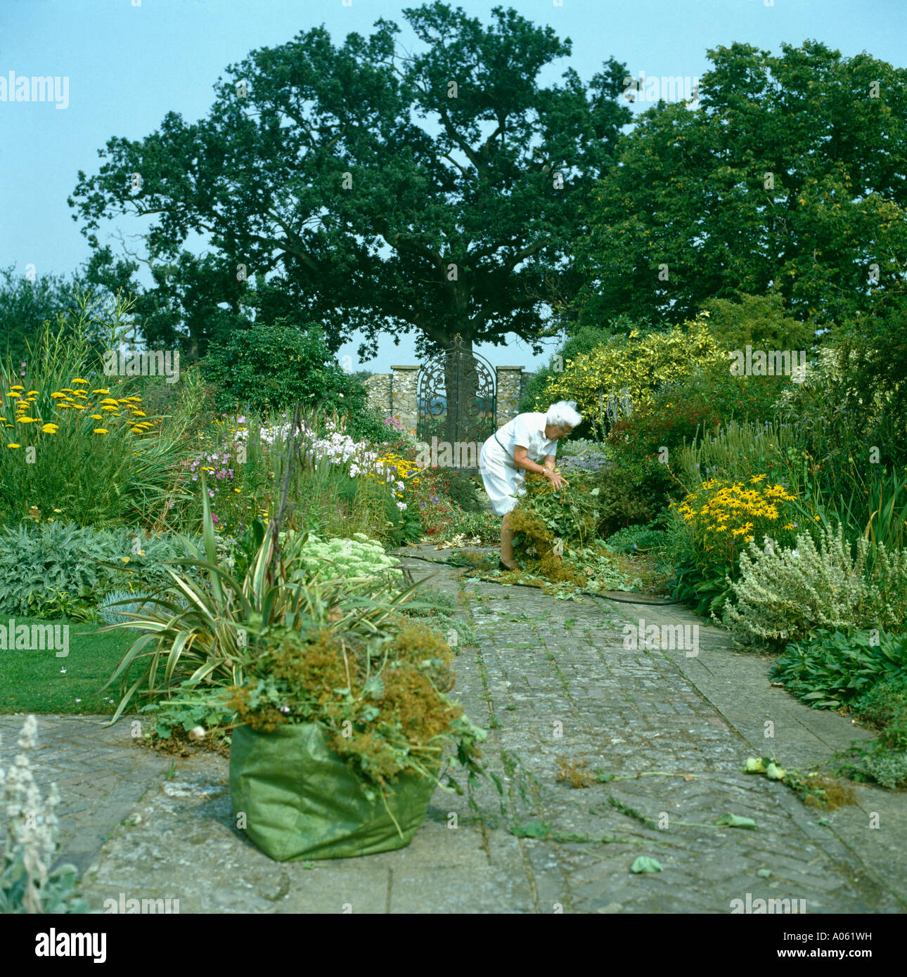 Voce morta in giardino immagini e fotografie stock ad alta risoluzione ...