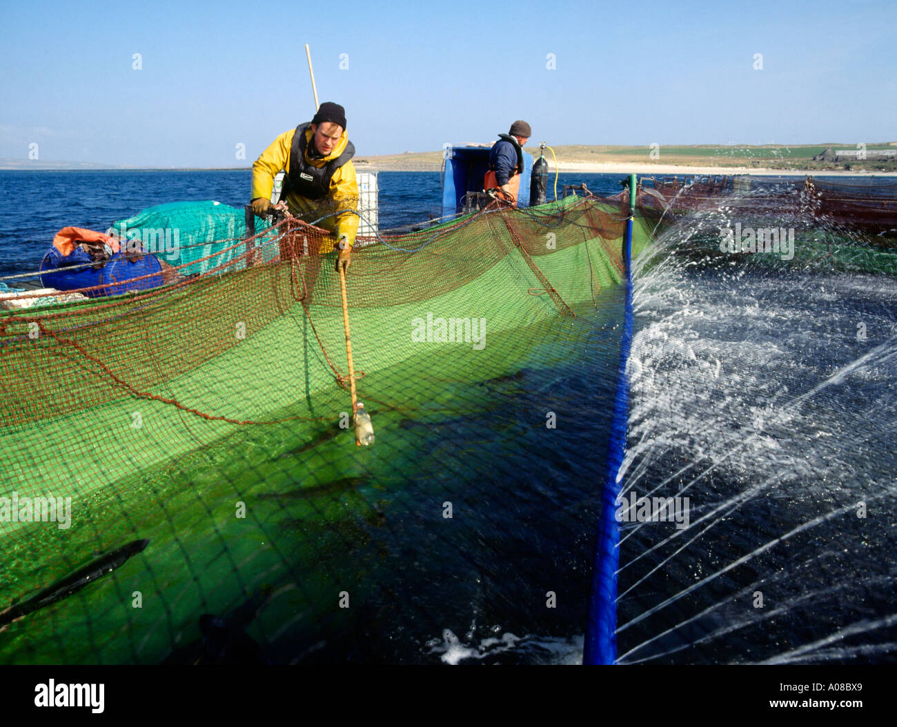 Gabbie per pesci orkney immagini e fotografie stock ad alta risoluzione ...