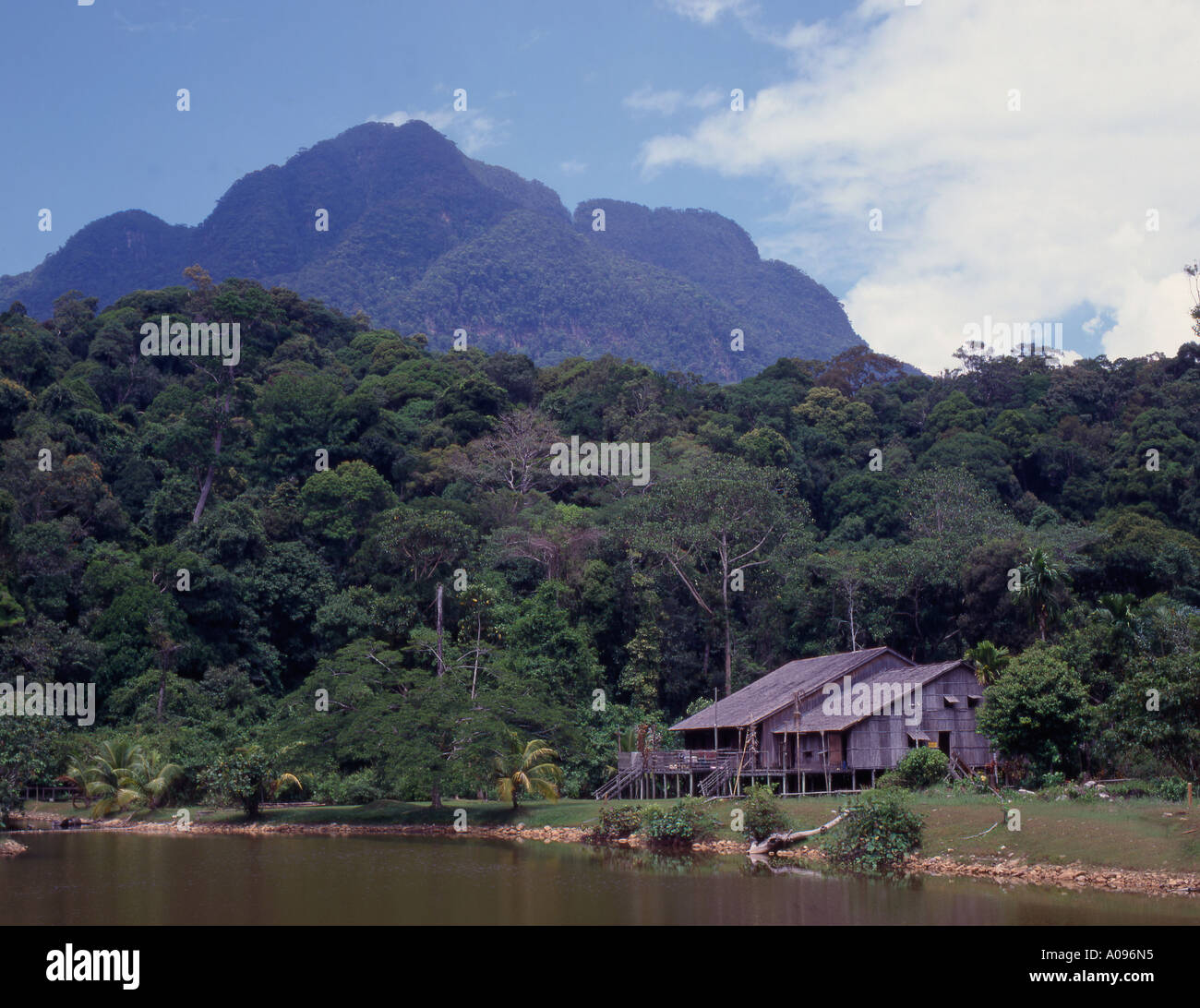 Iban longhouse immagini e fotografie stock ad alta risoluzione - Alamy