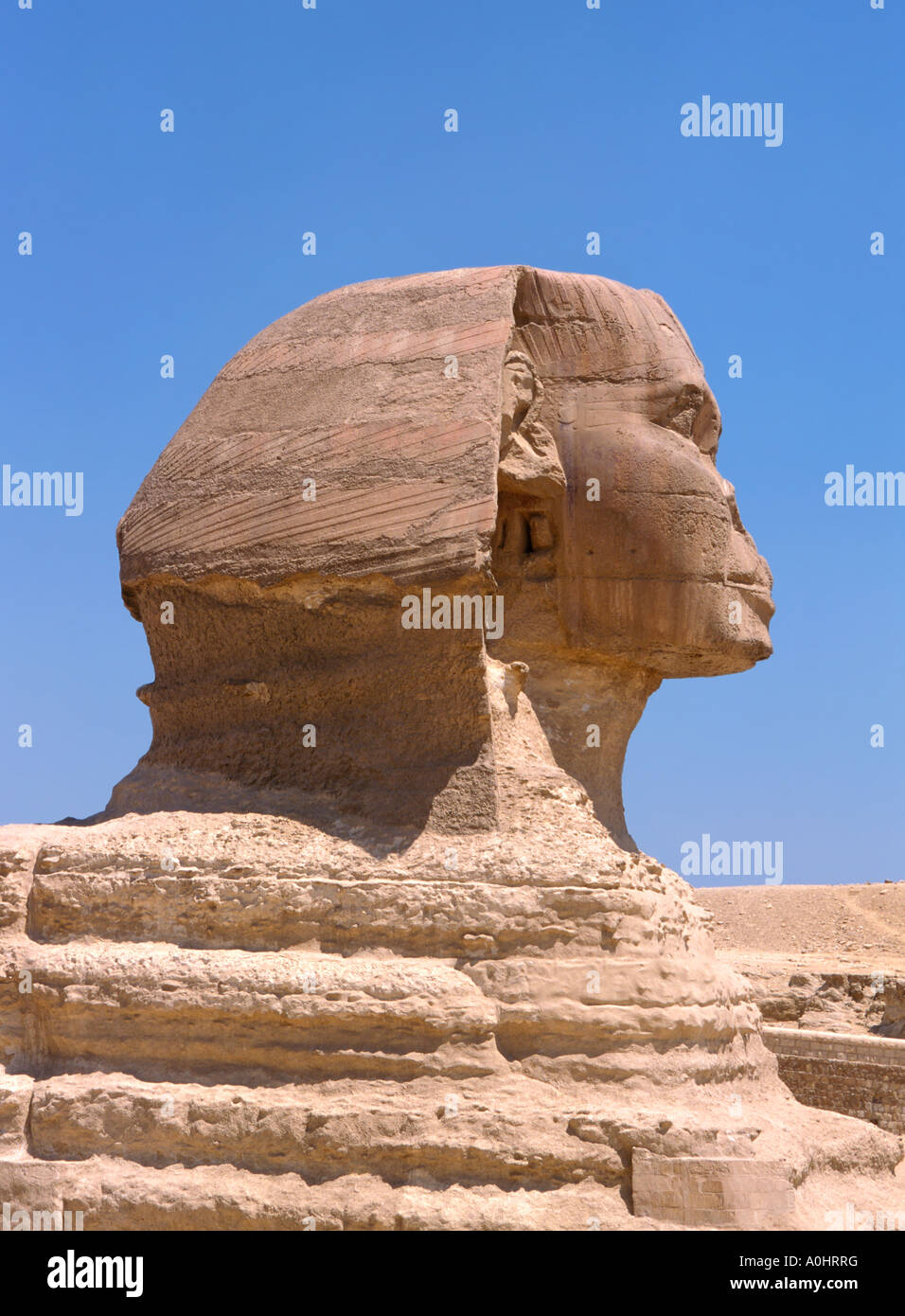 Restauro della sfinge immagini e fotografie stock ad alta risoluzione ...