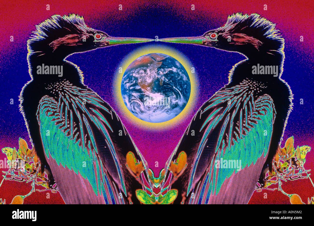 Simmetria bilaterale immagini e fotografie stock ad alta risoluzione ...