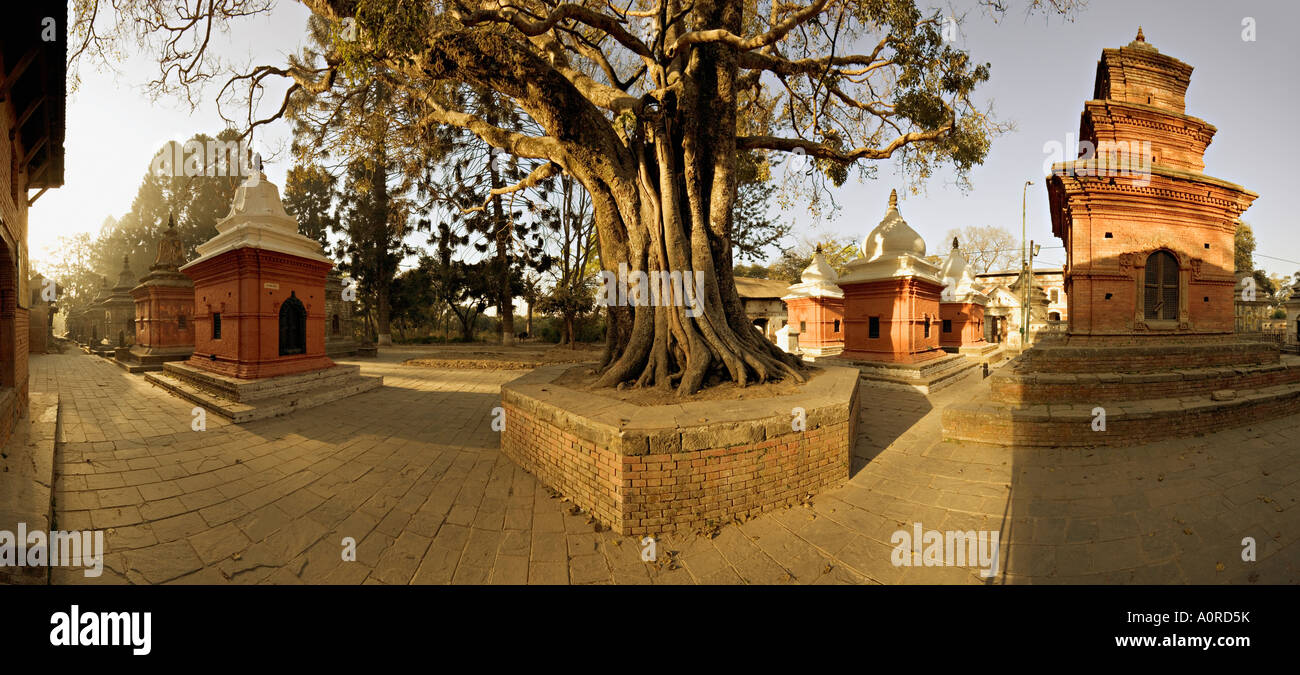 Panorama prodotta unendo diverse immagini di chaityas all'alba a uno ...