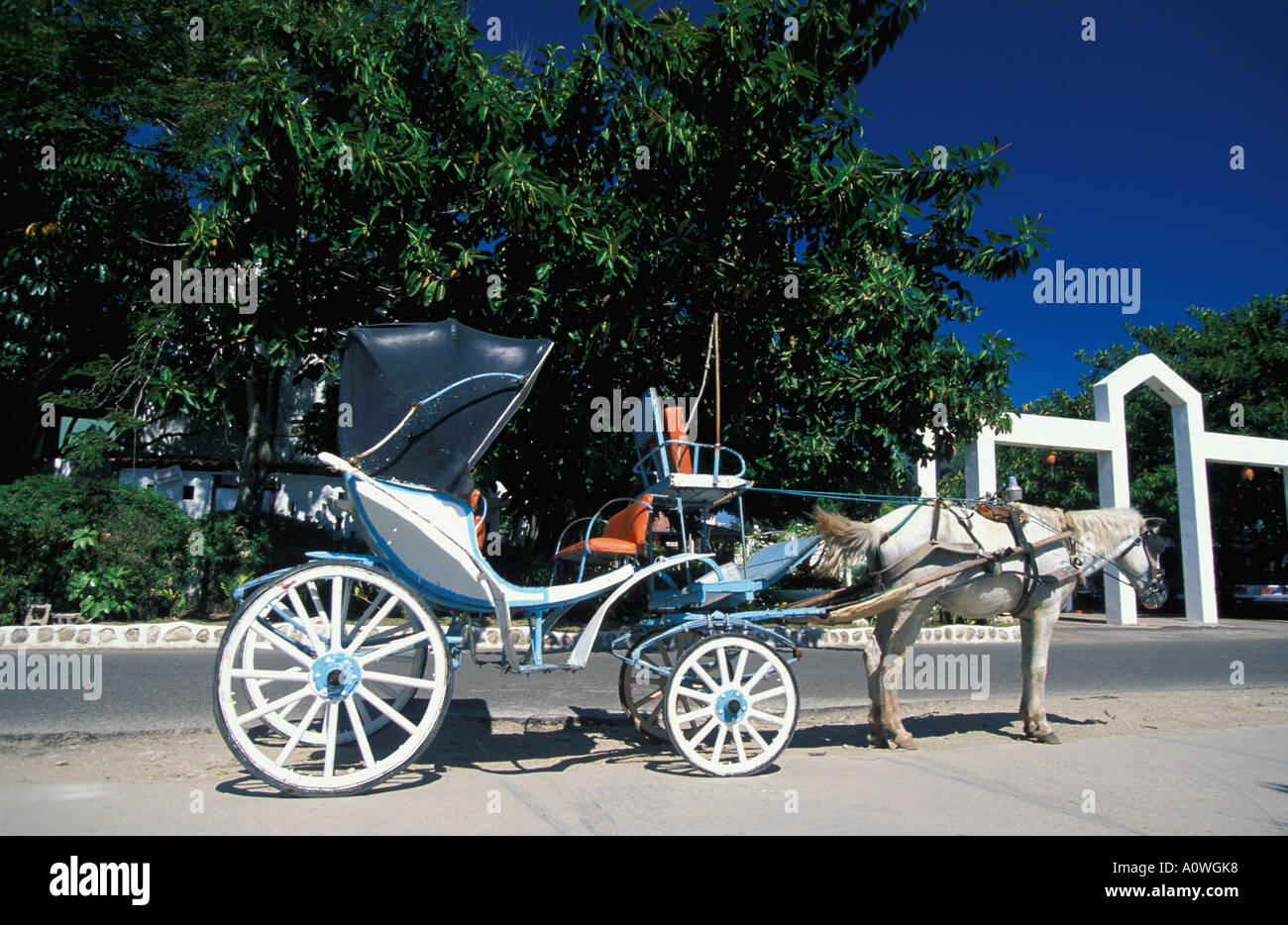 Carrozza e cavallo immagini e fotografie stock ad alta risoluzione - Alamy