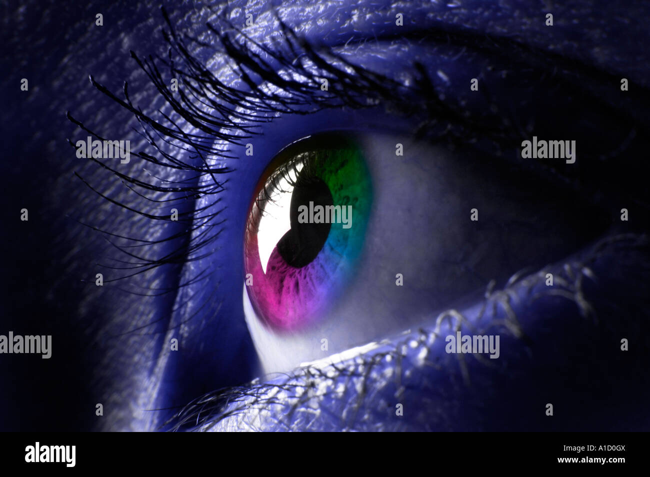 Partes del ojo con ilustración immagini e fotografie stock ad alta ...
