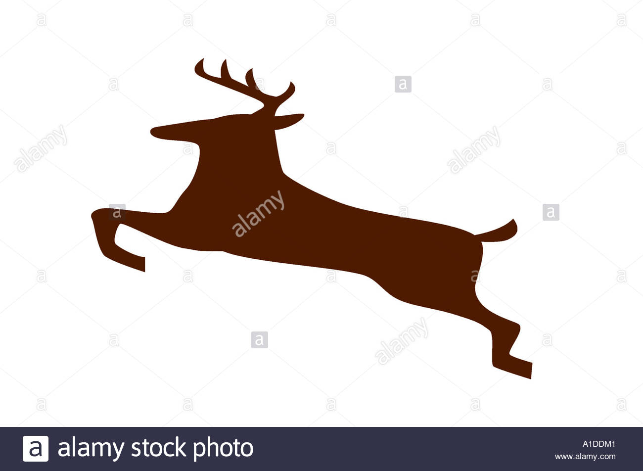 Zoccolo di cervo Immagini senza sfondo e Foto Stock ritagliate - Alamy