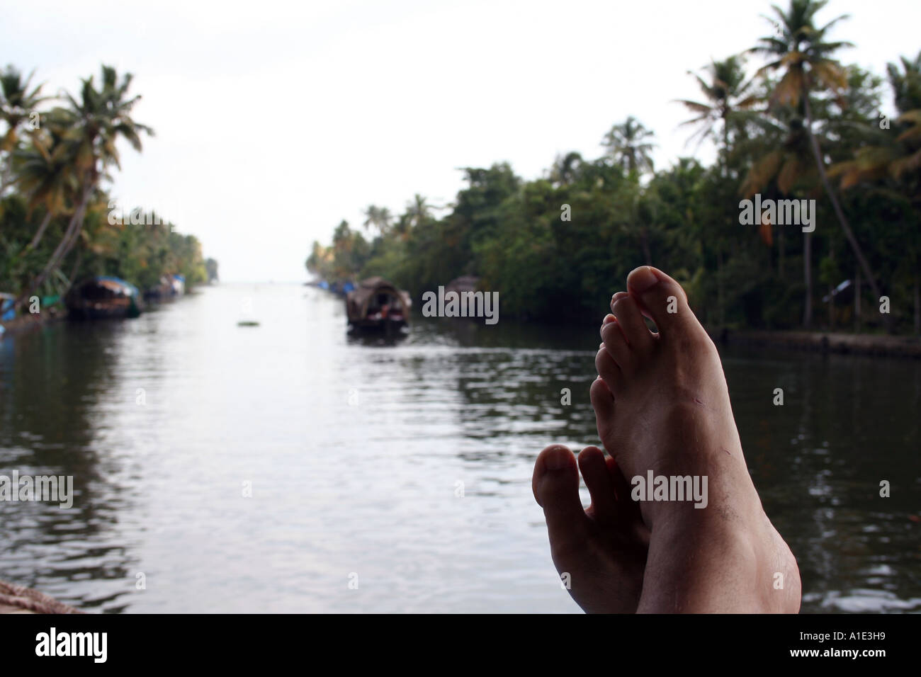 Backwaters di trivandrum kerala immagini e fotografie stock ad alta ...