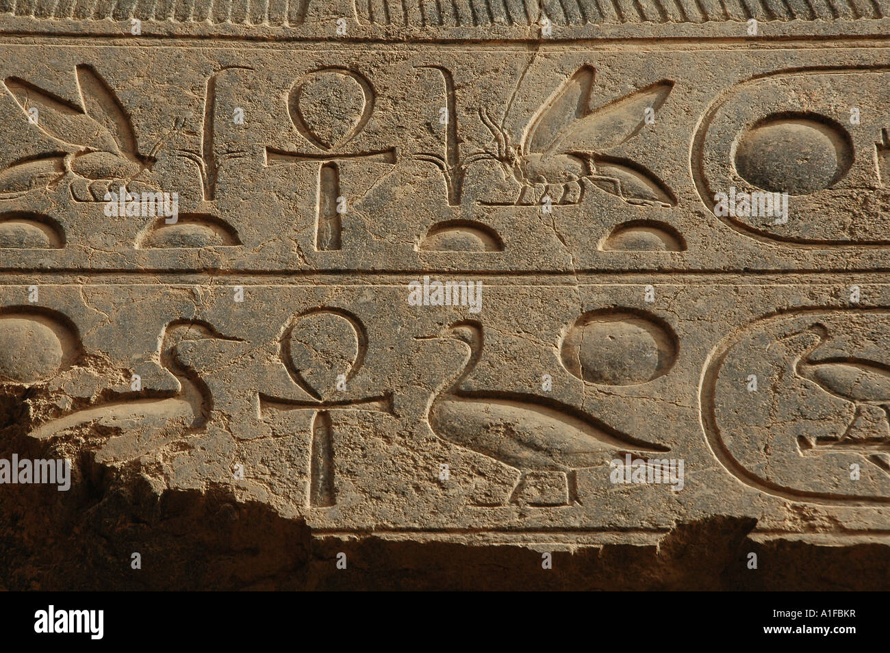 Hieroglyphic writing immagini e fotografie stock ad alta risoluzione ...
