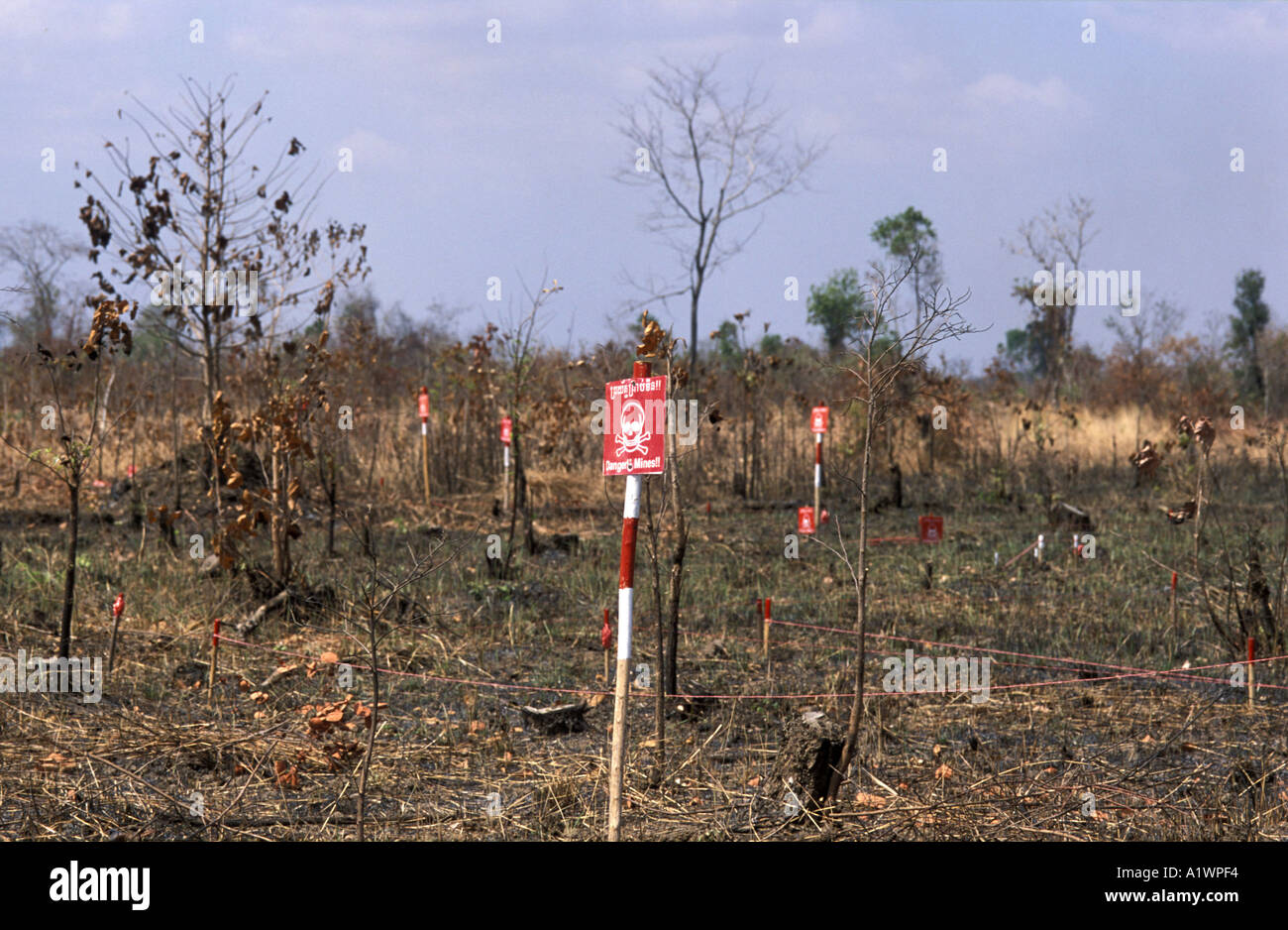 Campo minato immagini e fotografie stock ad alta risoluzione - Alamy