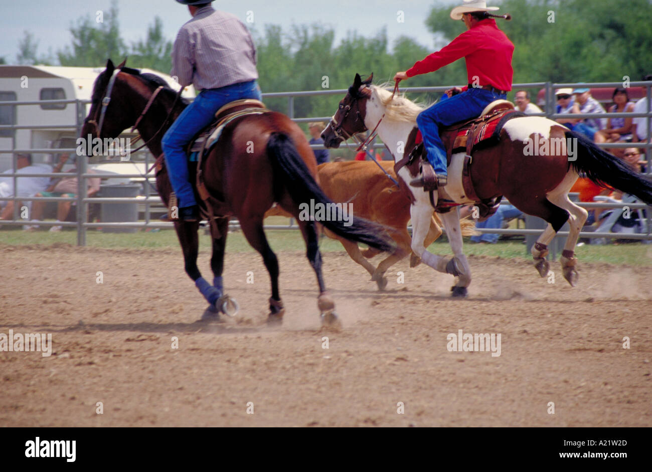 Rodeo nativo americano immagini e fotografie stock ad alta risoluzione ...