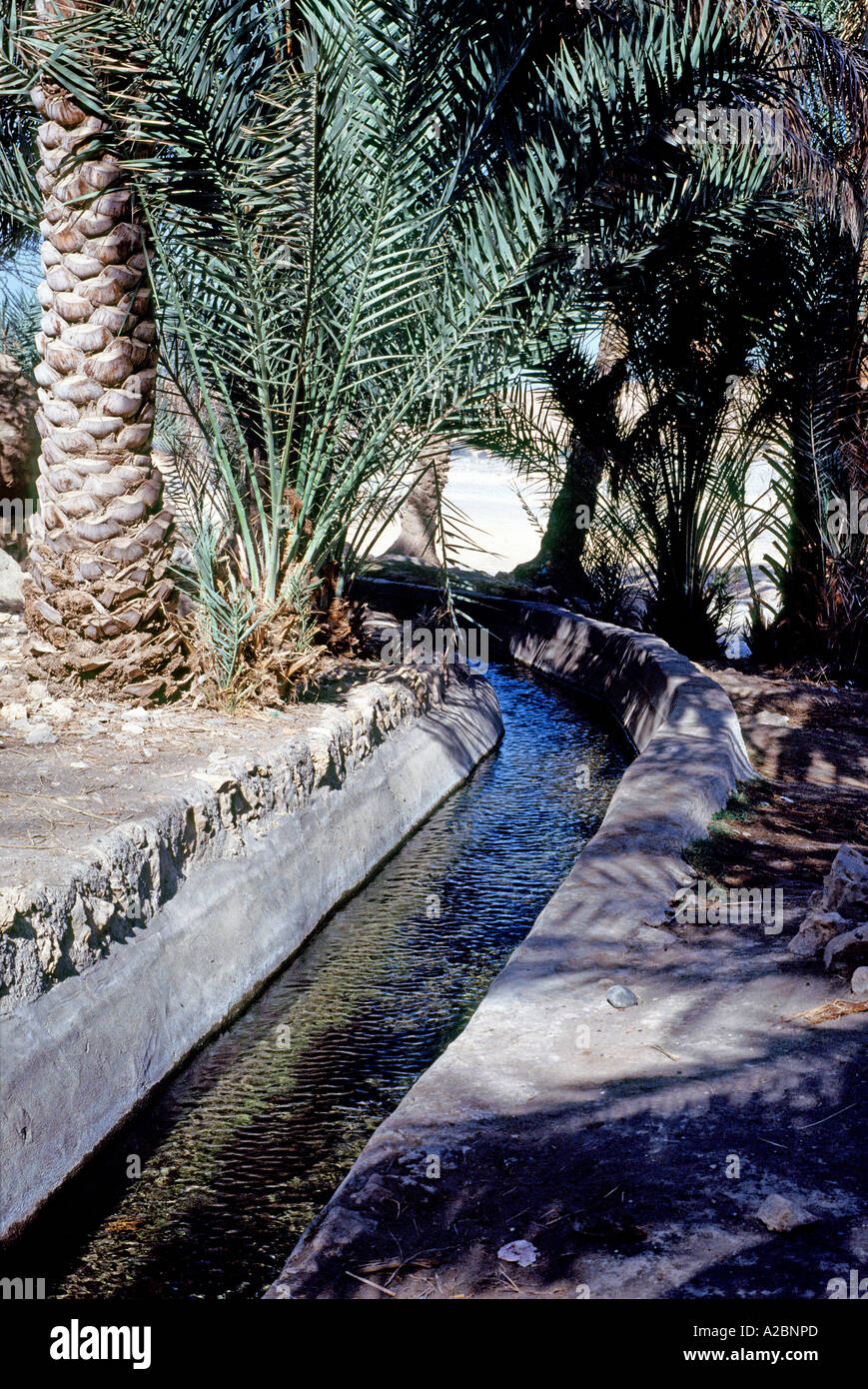 Falaj irrigation immagini e fotografie stock ad alta risoluzione - Alamy