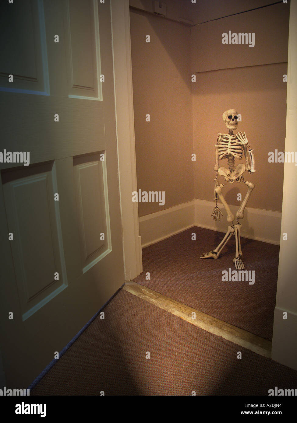 Lo scheletro nell'armadio immagini e fotografie stock ad alta ...