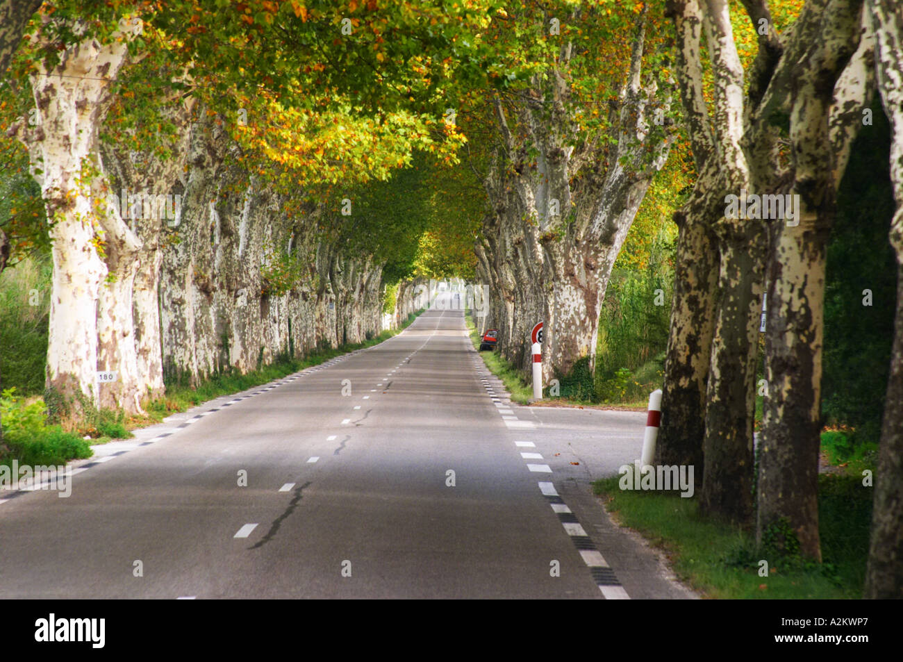 La strada per la remy de provence immagini e fotografie stock ad alta ...
