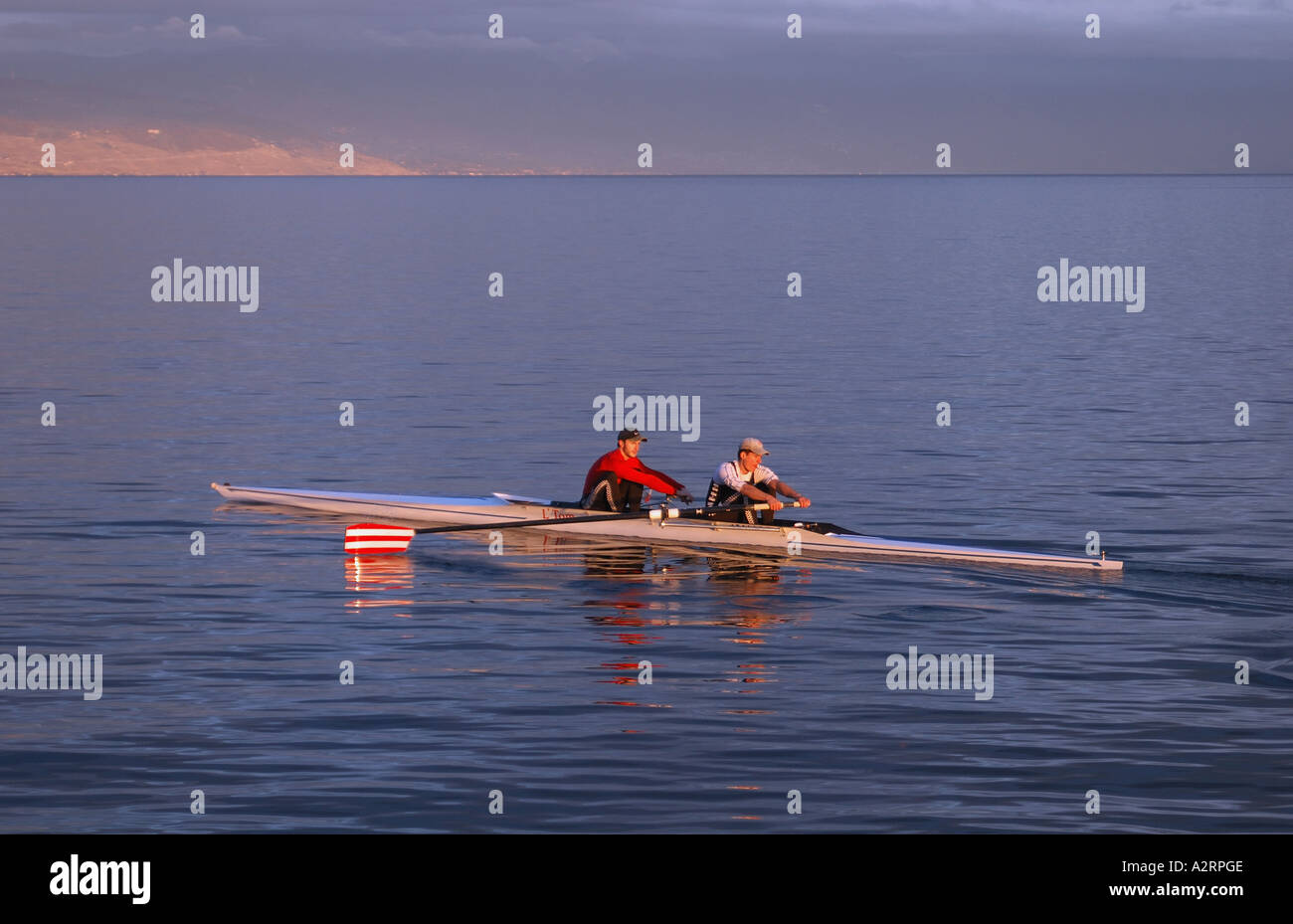 Shell leman immagini e fotografie stock ad alta risoluzione - Alamy