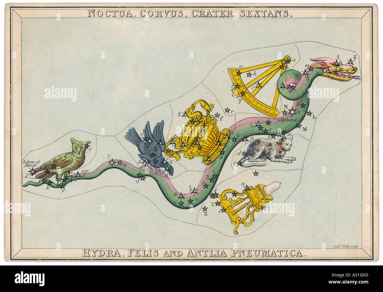 Mappa dell'idra immagini e fotografie stock ad alta risoluzione - Alamy